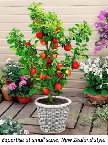 NW Fruit (Western Washington Fruit Research Foundation) | Growing Great ...